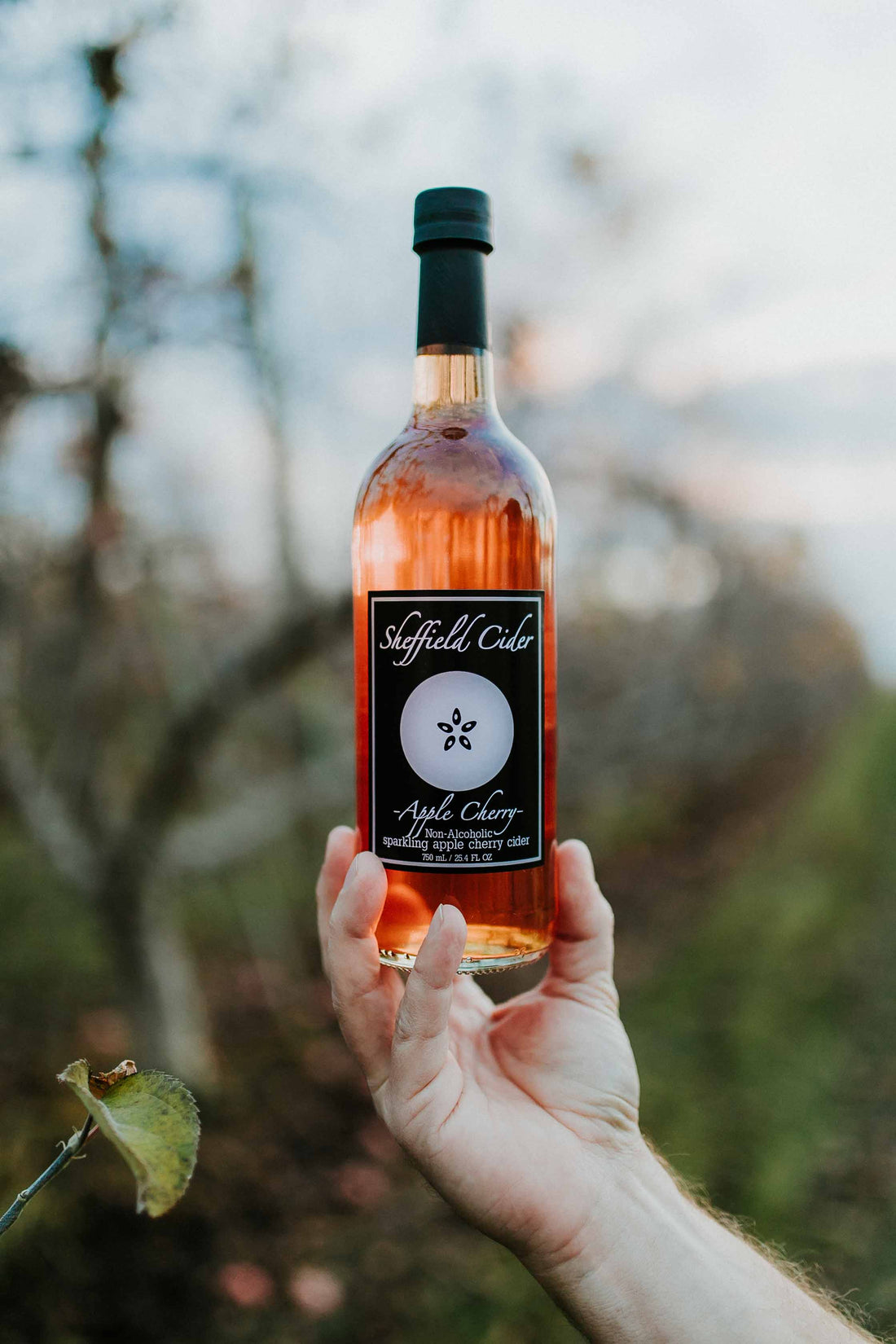 Sheffield Cider - Fine Non-Alcoholic Sparkling Apple Cider