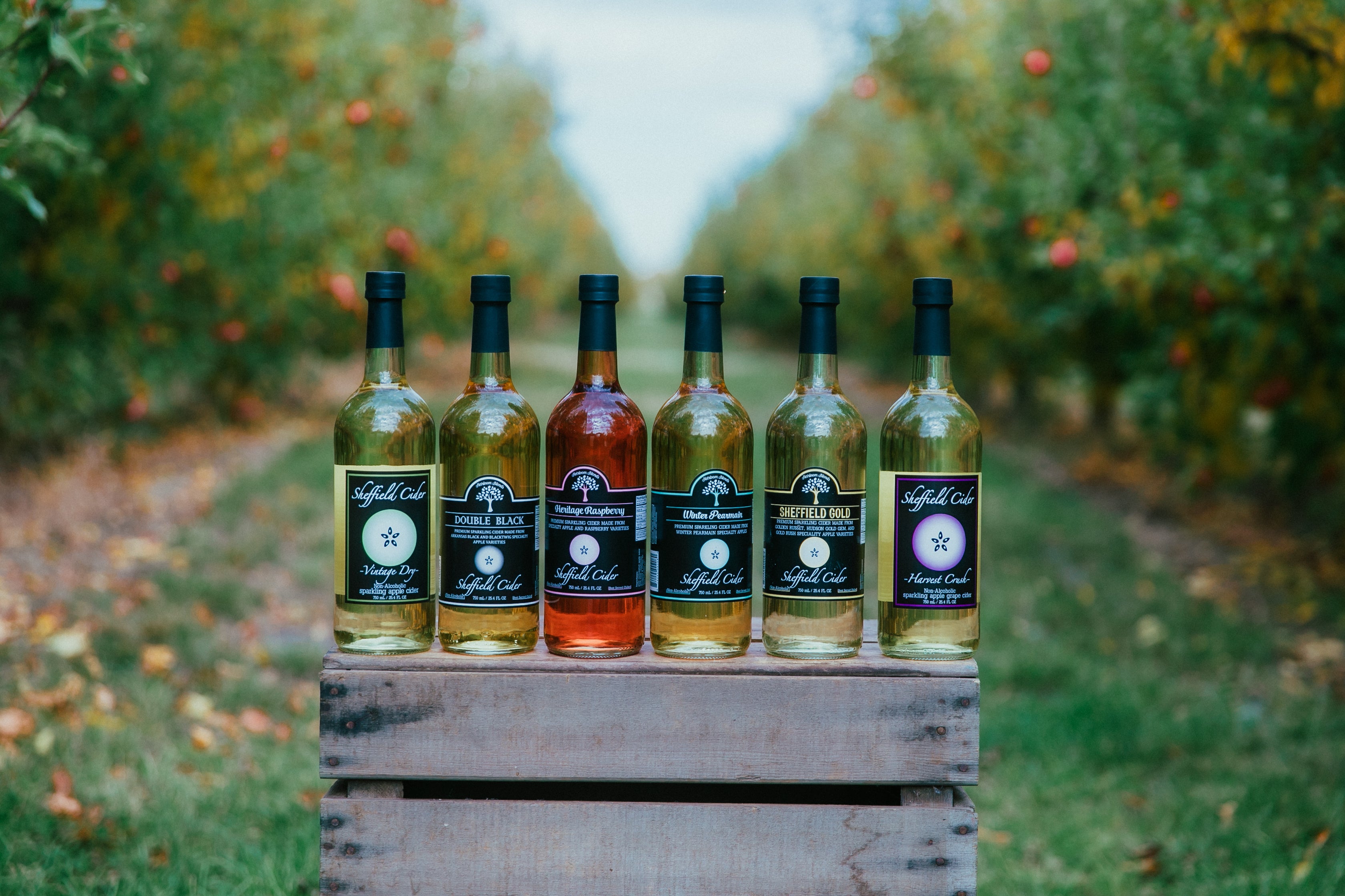 Heirloom Sparkling Apple Cider Sampler – Sheffield Cider